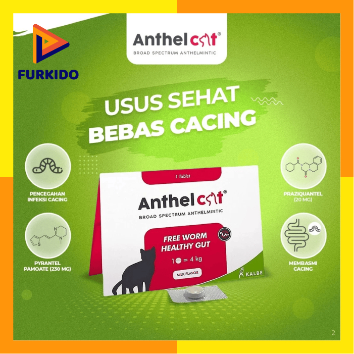 Jual Kalbe Anthel Cat 1 Tablet / Obat Cacing Kucing | Shopee Indonesia