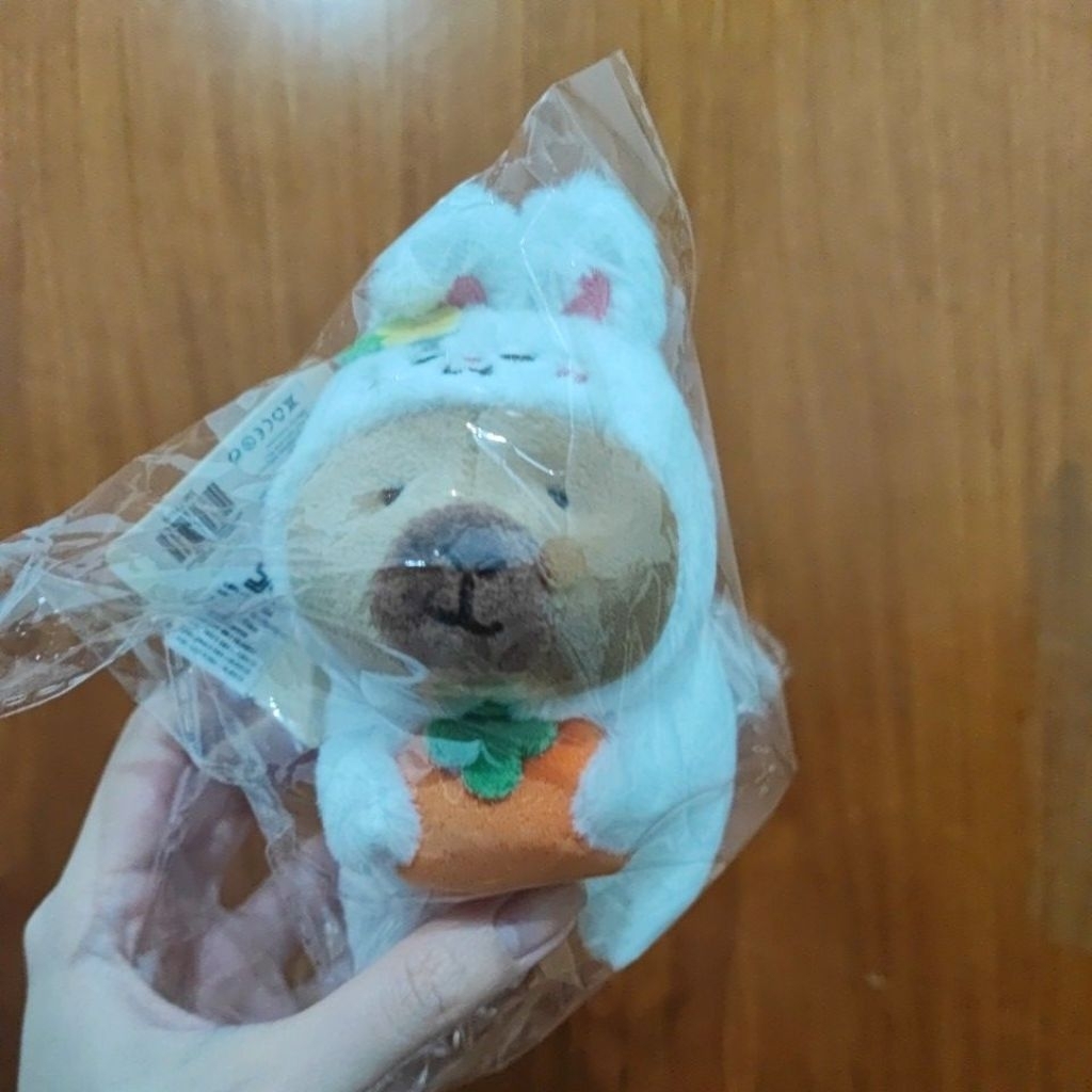 Jual TunTunZai Capybara Galaxy Mall Blind Box - Small Rabbit | Shopee ...