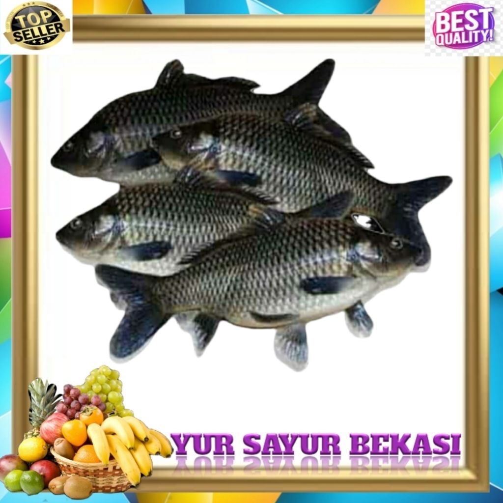 Jual Ikan Mas Segar 1kg. | Shopee Indonesia