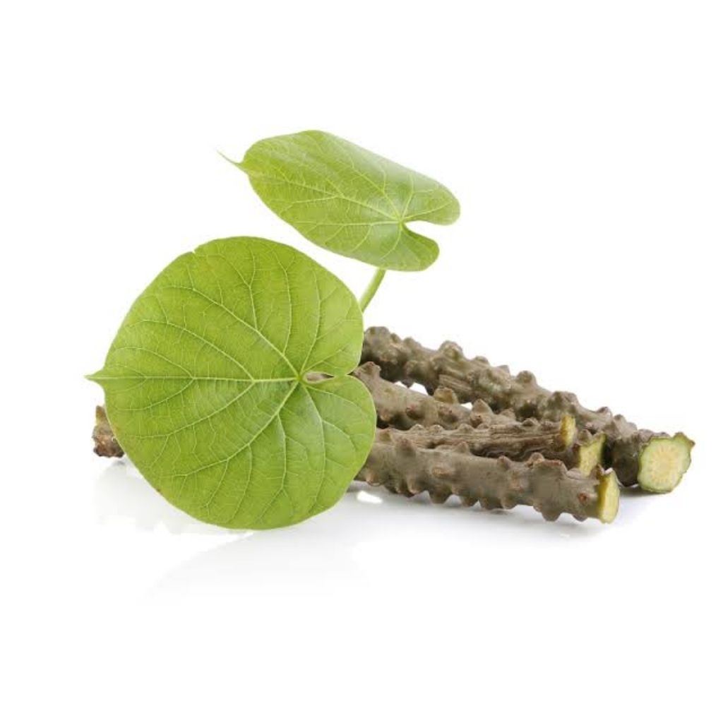 Jual batrawali segar Brotowali segar 50 gram Patrawali Segar ( Bisa ...