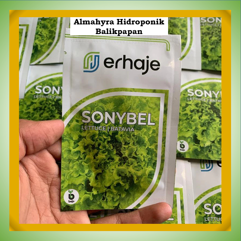 Jual Benih Selada Sonybel 1gr gram Bejo Benih Selada Import Sonybel ...