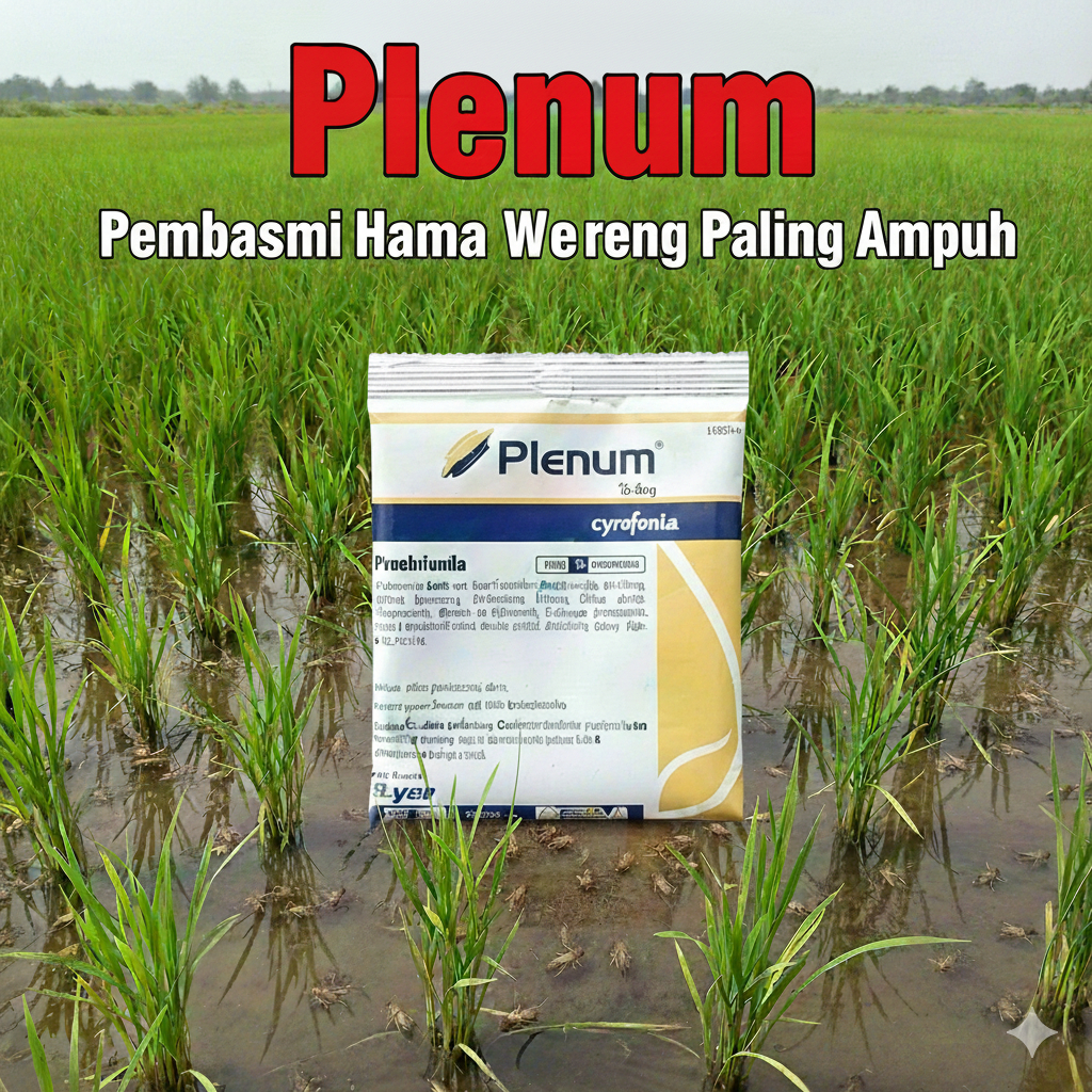 Jual INSEKTISIDA PLENUM 50 WG Pembasmi Hama Wereng 25 gram | Shopee ...