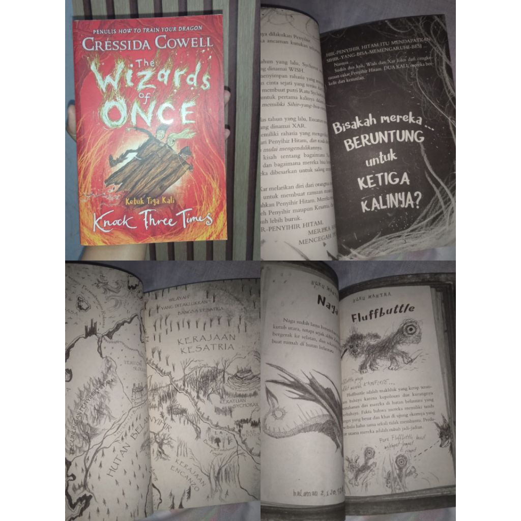 Jual The Wizard of Once Book | Fantasy Children Book | Preloved ...