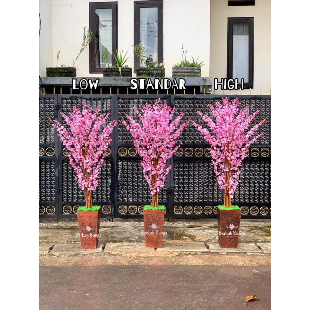 Jual Bunga sakura Imlek 170cm- sakura plastik- pohon sakura- pohon ...