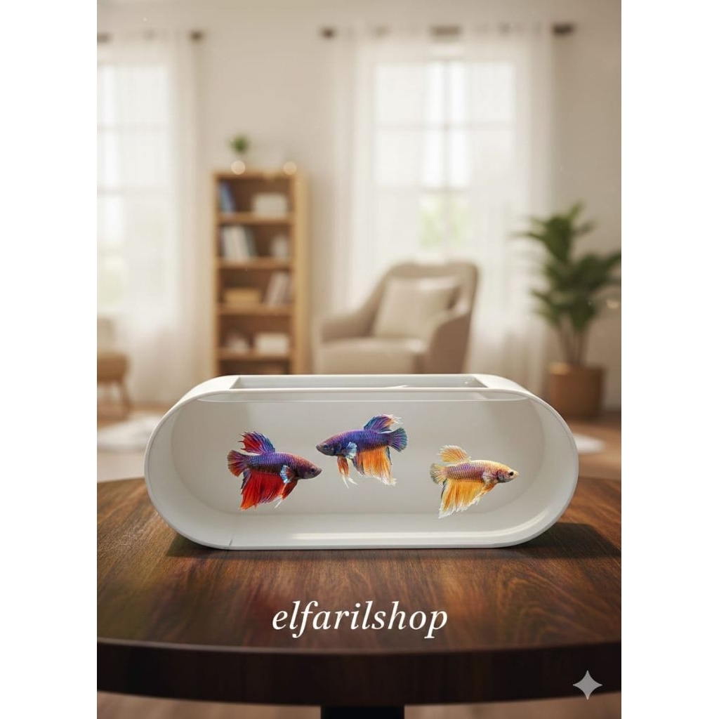 Jual akuarium mini bentuk oval polosan | Shopee Indonesia