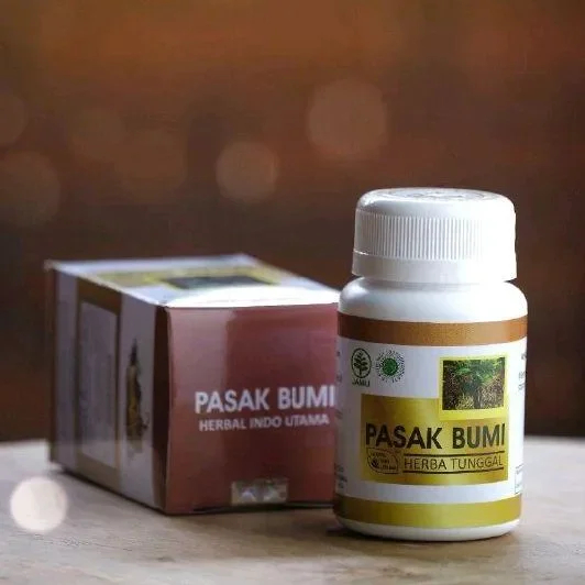 Jual HERBAL INDO UTAMA Pasak Bumi atau Tongkat Ali isi 60 Kapsul ...