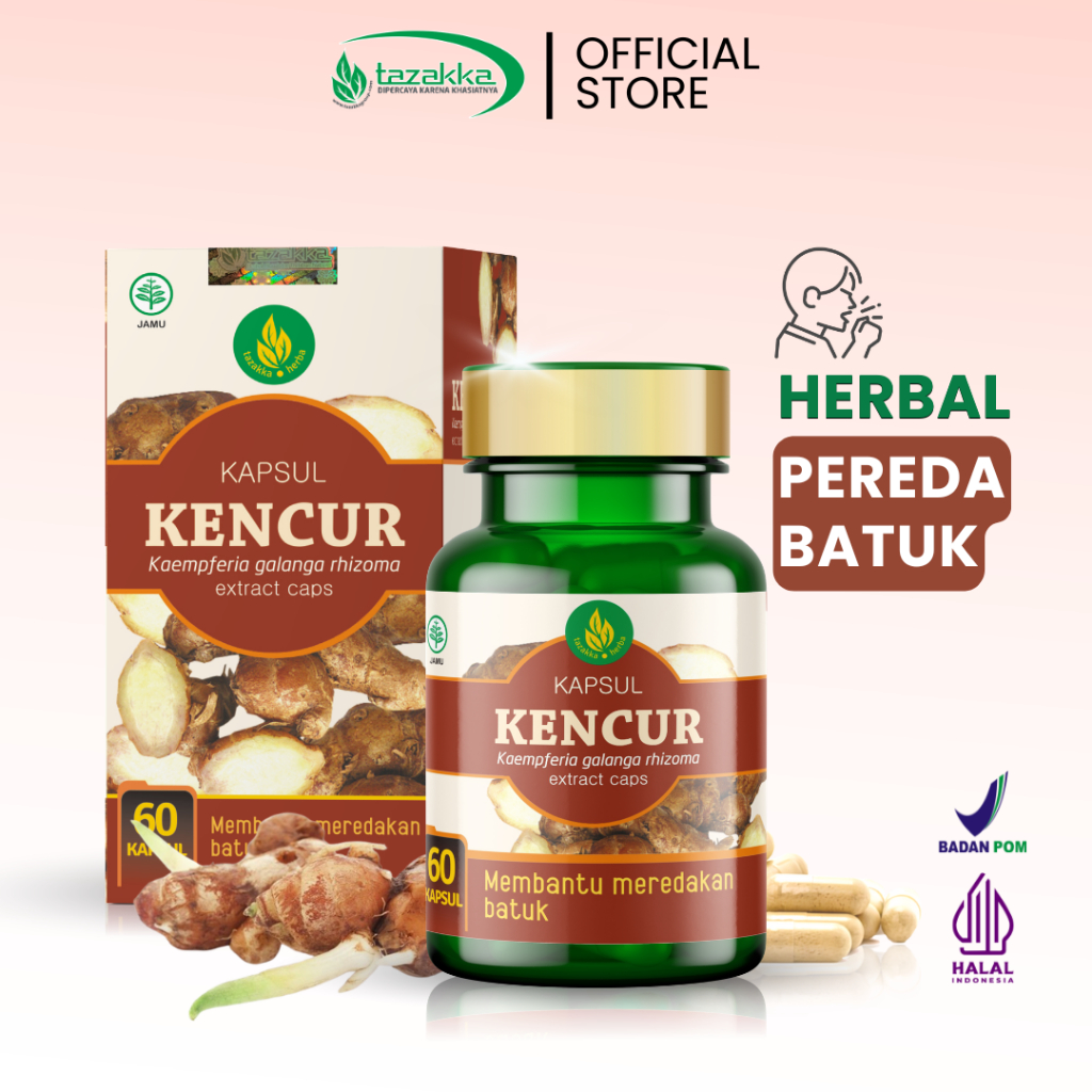 Jual TAZAKKA Ekstrak Kapsul Kencur Bubuk Kering Murni Pil Obat Herbal ...