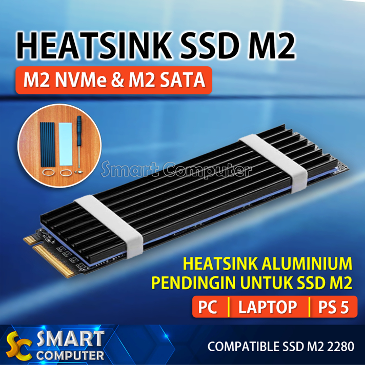 Jual Heatsink SSD M2 NVMe M2 Sata NGFF Thermal Pad Pendingin SSD M.2 ...