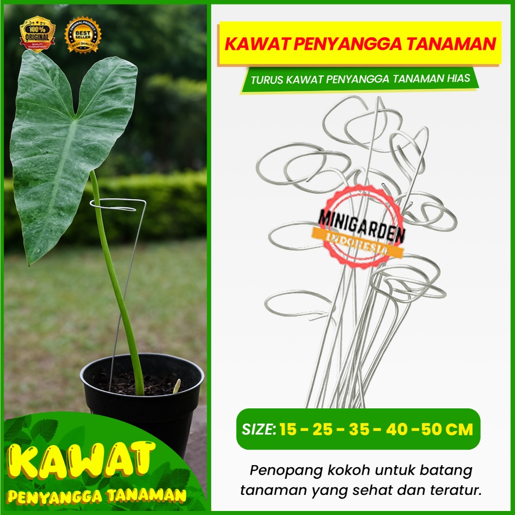 Jual Turus Kawat Penyangga Batang Tanaman Hias Anti Karat | Alat ...