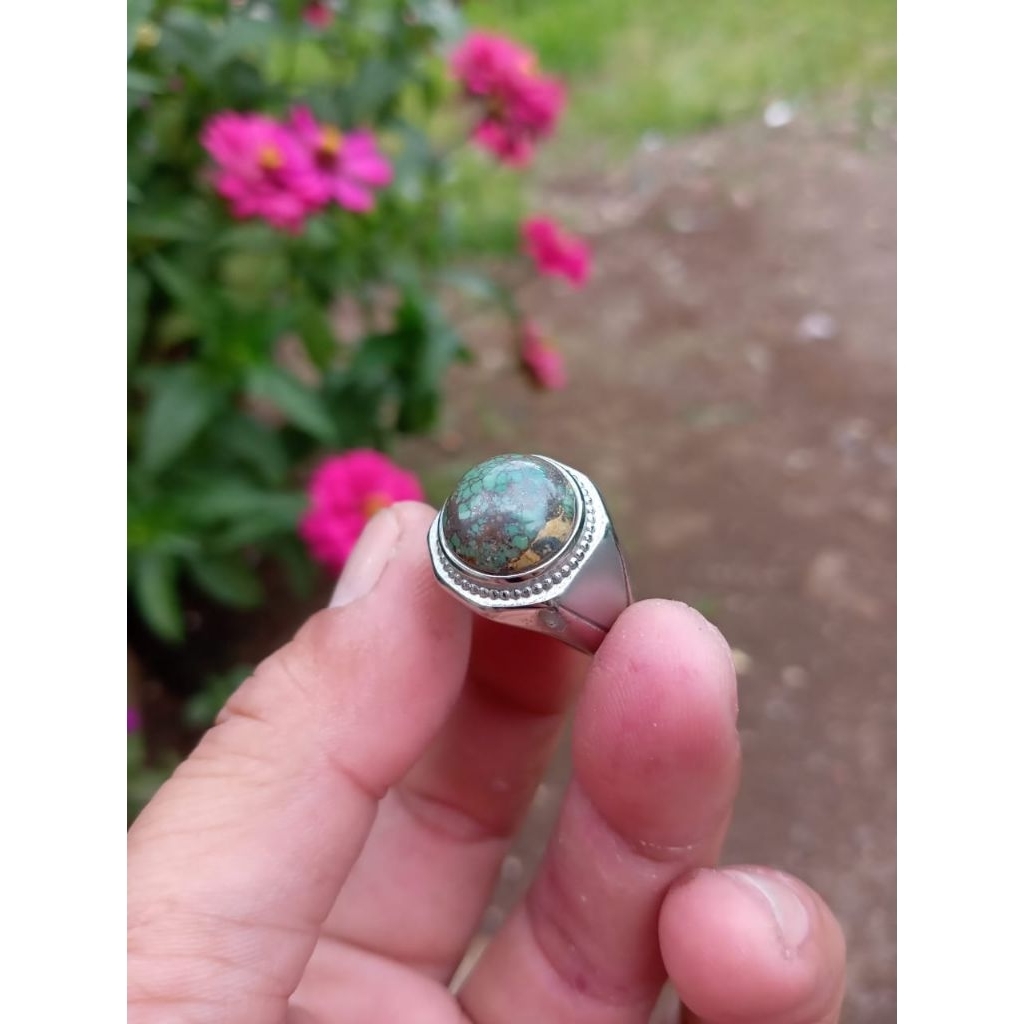Jual Natural pirus persia ( Real pict) | Shopee Indonesia
