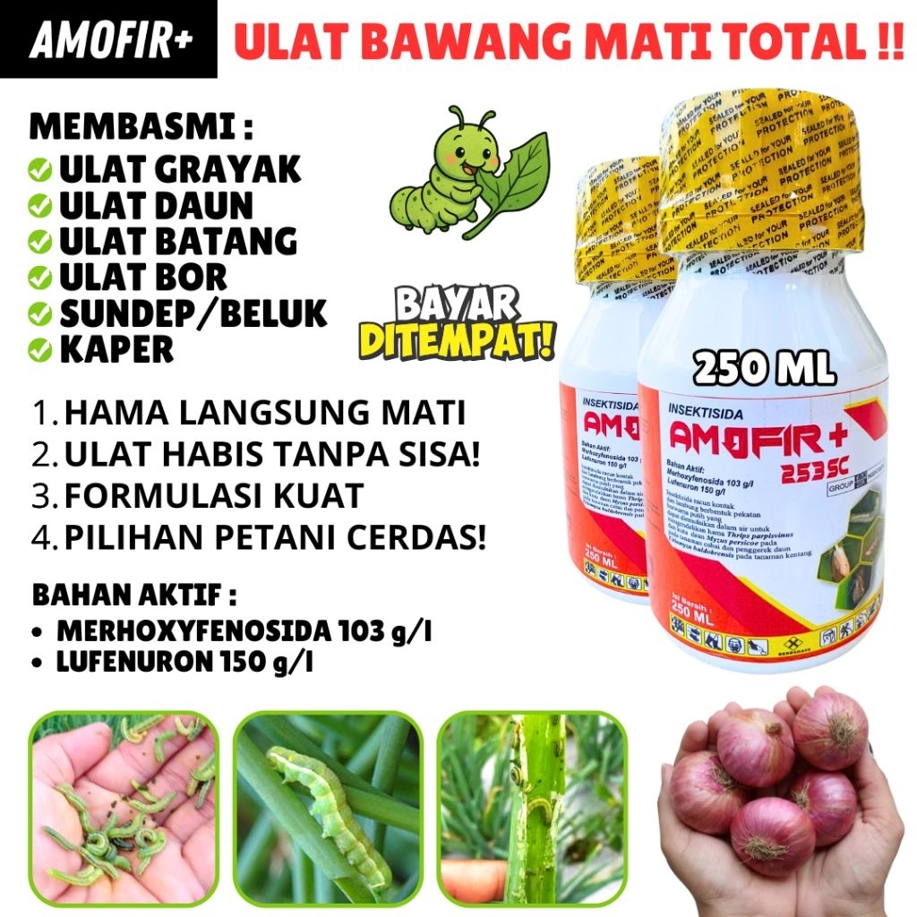 Jual ULAT MATI TOTAL !! AMOFIR+ Racun Ulat Grayak Ulat Bor Sundep Beluk ...