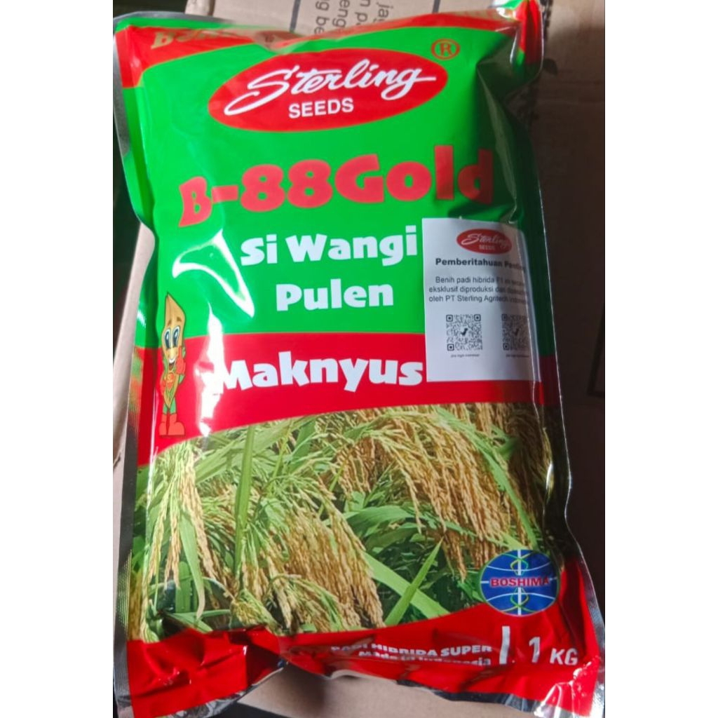 Jual Bibit Padi hibrida Sterling si pulen maknyus ori 1kg | Shopee ...