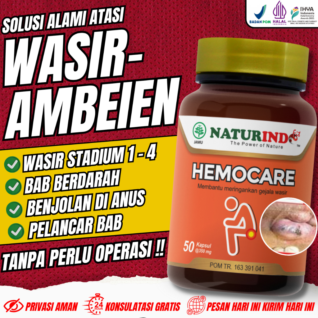 Jual Obat Wasir Ambeien Stadium 1-4 Benjolan di Anus Tanpa Operasi ...