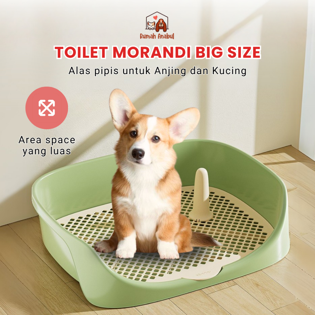Jual Toilet Anjing Kucing Morandi Big Size Alas Pipis poo Pet Potty ...