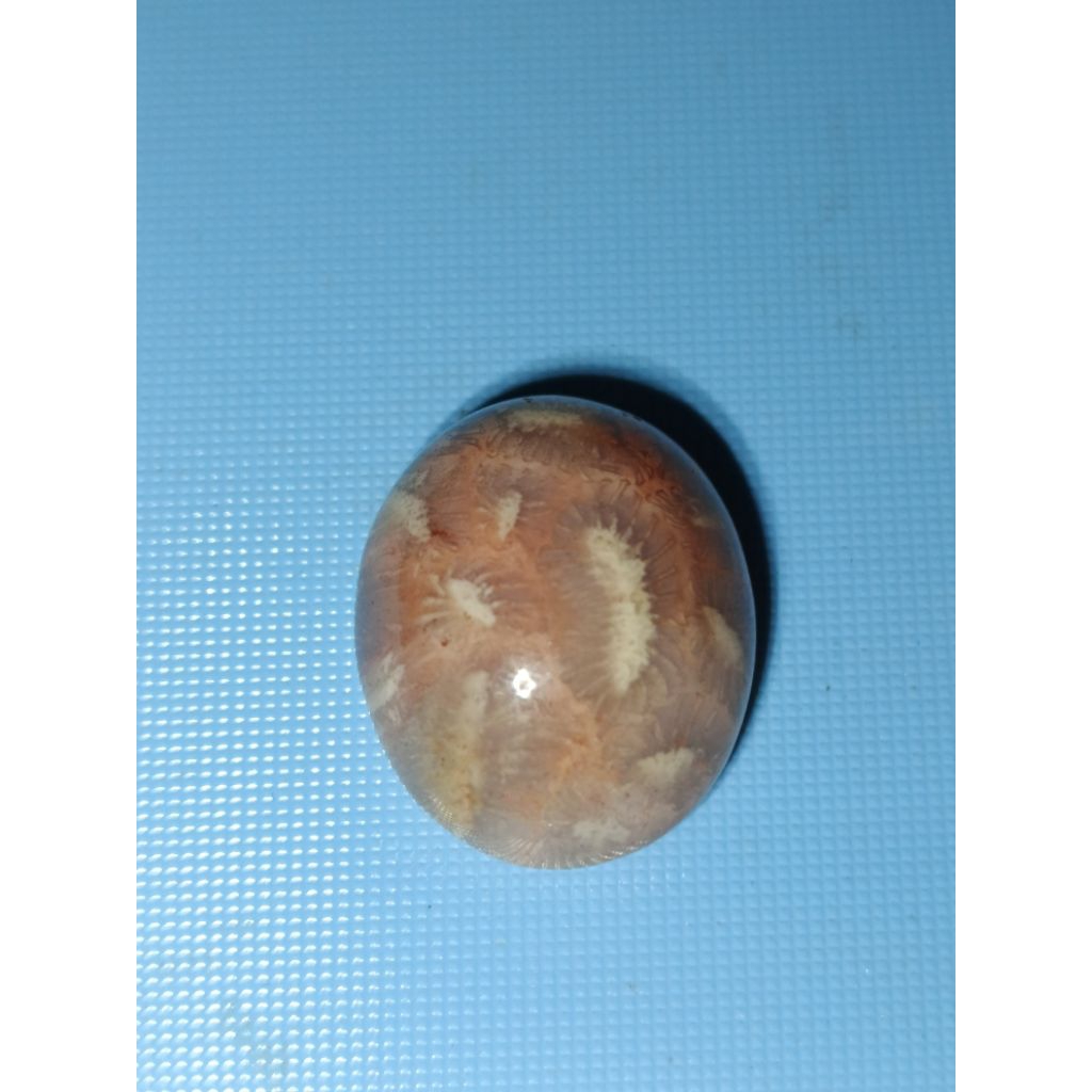 Jual Batu Akik Cincin Natural Alam Mustika Lipan Sesuai Foto | Shopee ...