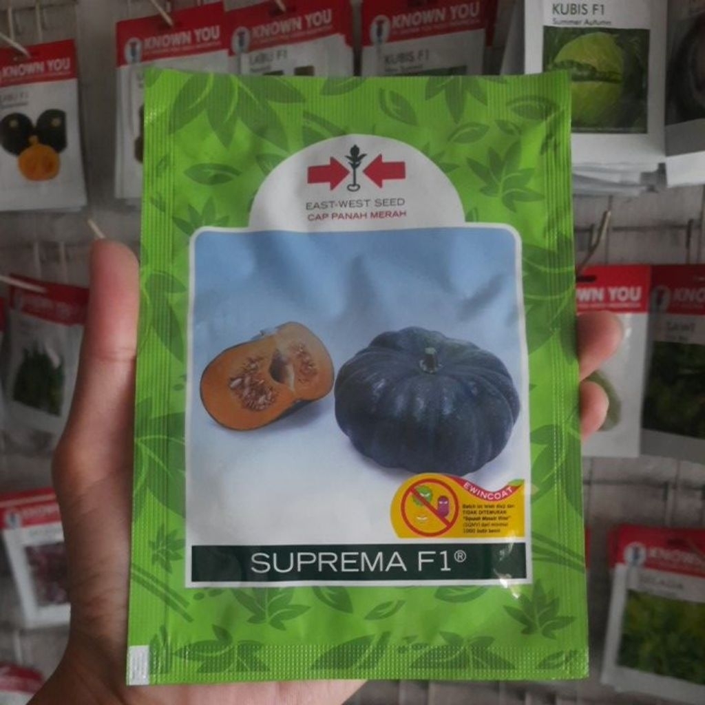 Jual Benih Labu Kuning SUPREMA F1 Isi 95biji EXP 09/26 | Shopee Indonesia