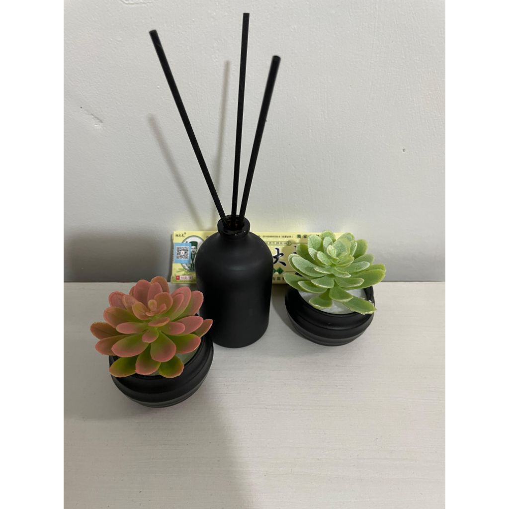 Jual meredakan gatal panu eksim | Shopee Indonesia
