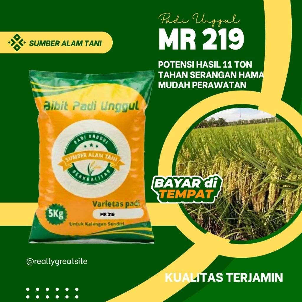 Jual Benih padi MR 219 kemasan 5 kg | Shopee Indonesia