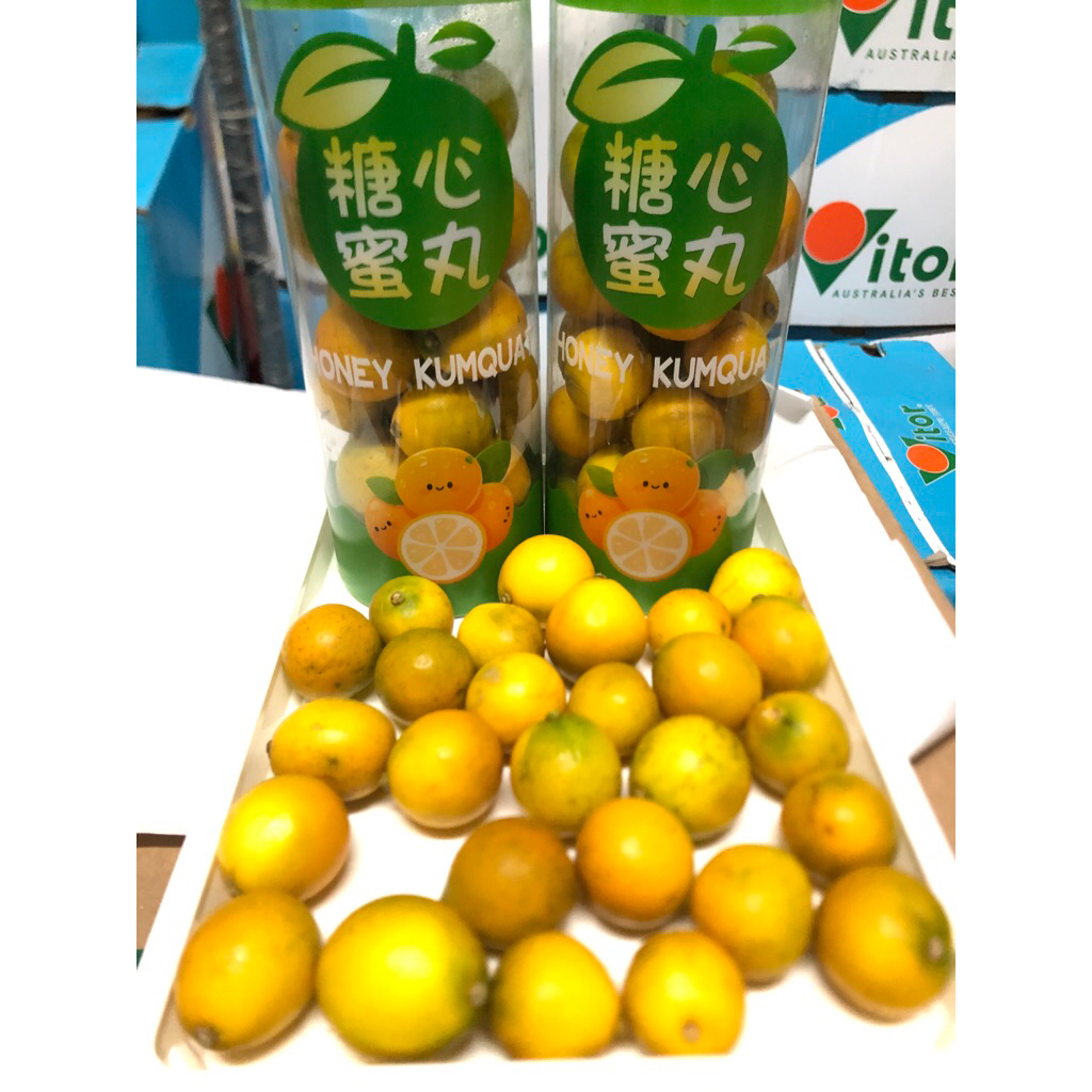 Jual Jeruk Honey Kimkit /Tube | Shopee Indonesia