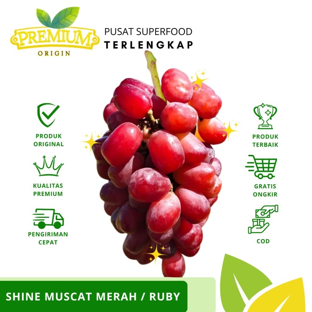 Jual FRESH Anggur Shine Muscat Merah Ruby 350 gram | Premium Shine ...