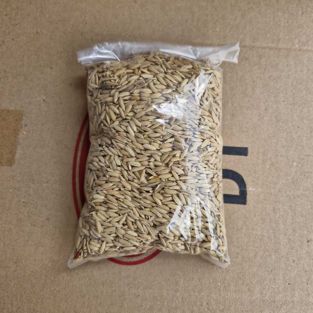 Jual Gabah / Beras Merah Pakan Ayam (500gr, 1000gr 1Kg) | Shopee Indonesia