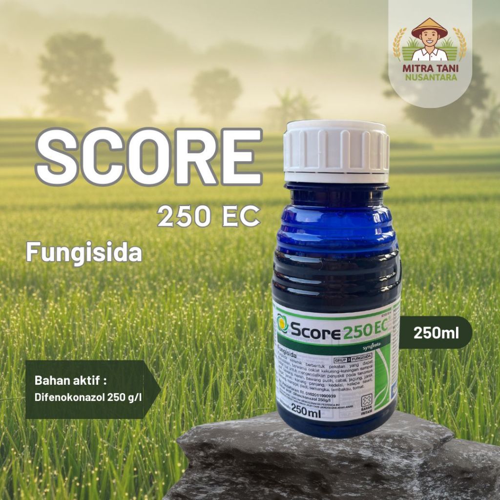 Jual Fungisida SCORE 250 EC kemasan 250ml Syngenta Original | Shopee ...