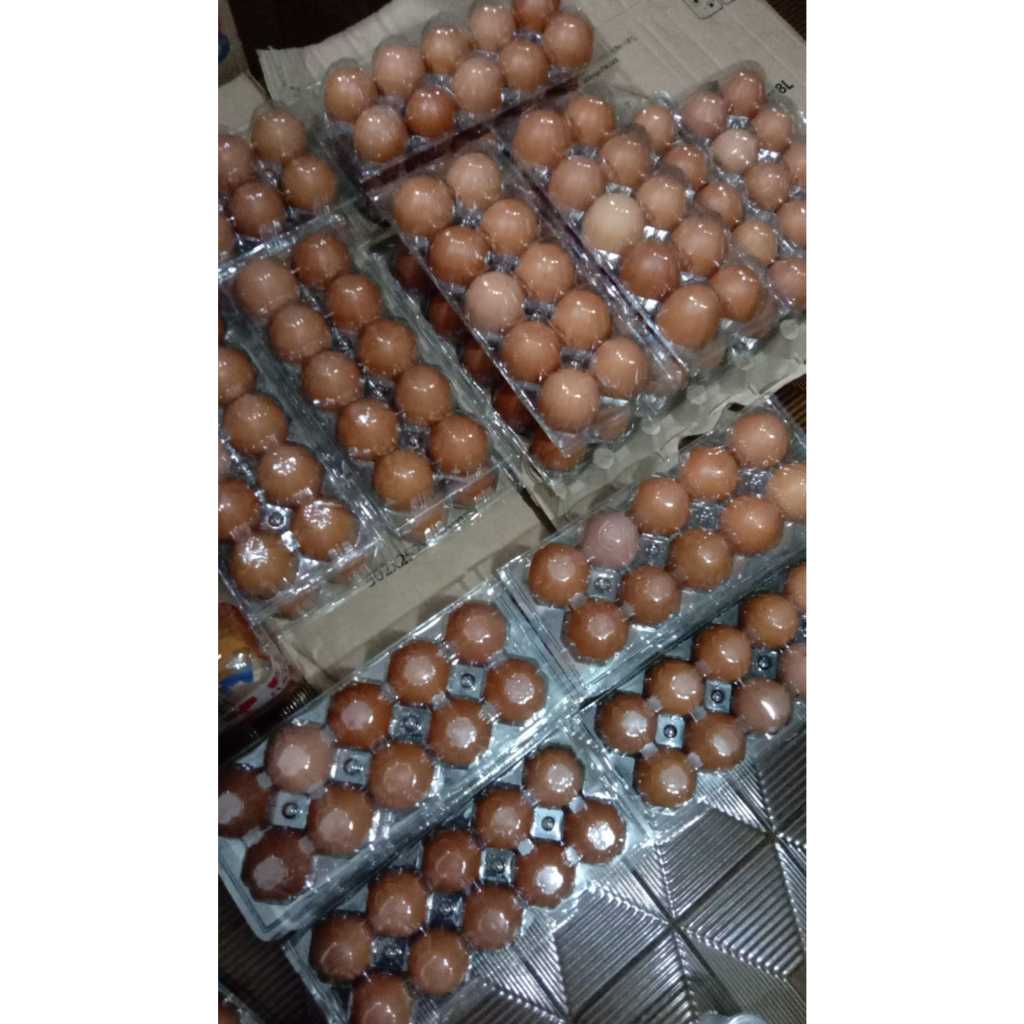 Jual Telur Ayam Negeri Segar Ukuran Sedang 10 Butir (Mika Pack ...