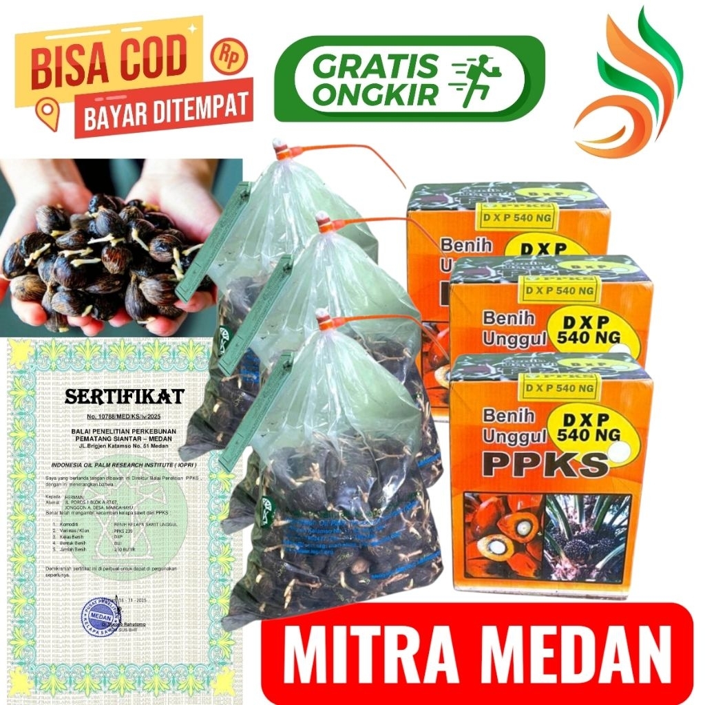 Jual bibit benih kecambah sawit unggul PPKS 540+SERTIFIKAT RESMI isi ...
