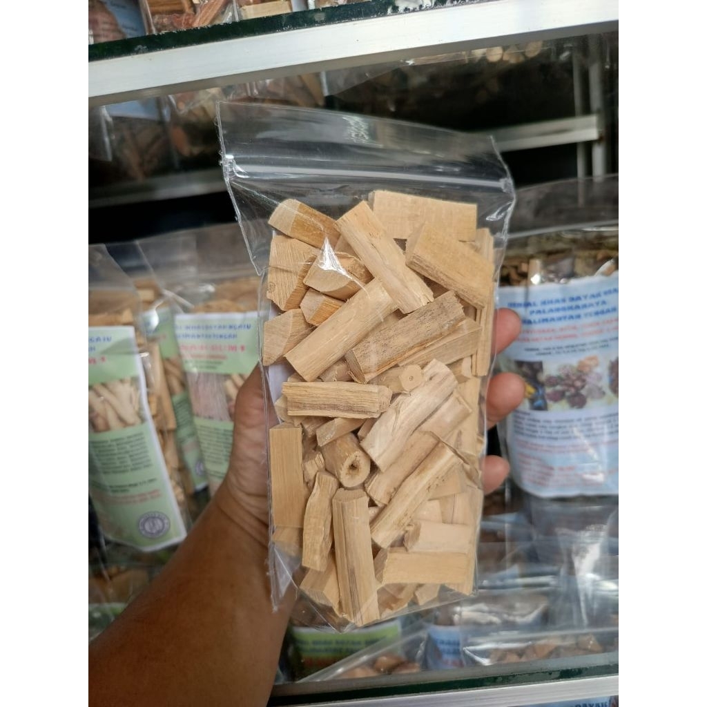 Jual AKAR KAYU PASAK BUMI ASLI KALIMANTAN BORNEO | Shopee Indonesia