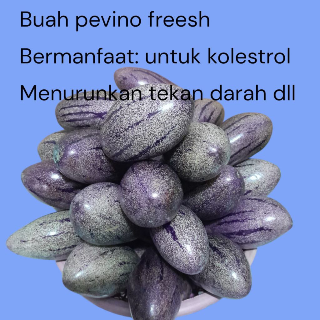 Jual buah pepino segar 1kg | Shopee Indonesia