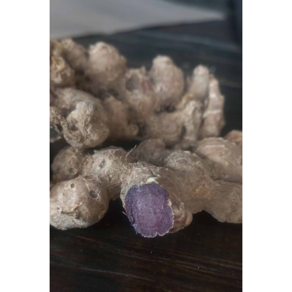 Jual Kunyit hitam segar berkualitas - per Kg | Shopee Indonesia
