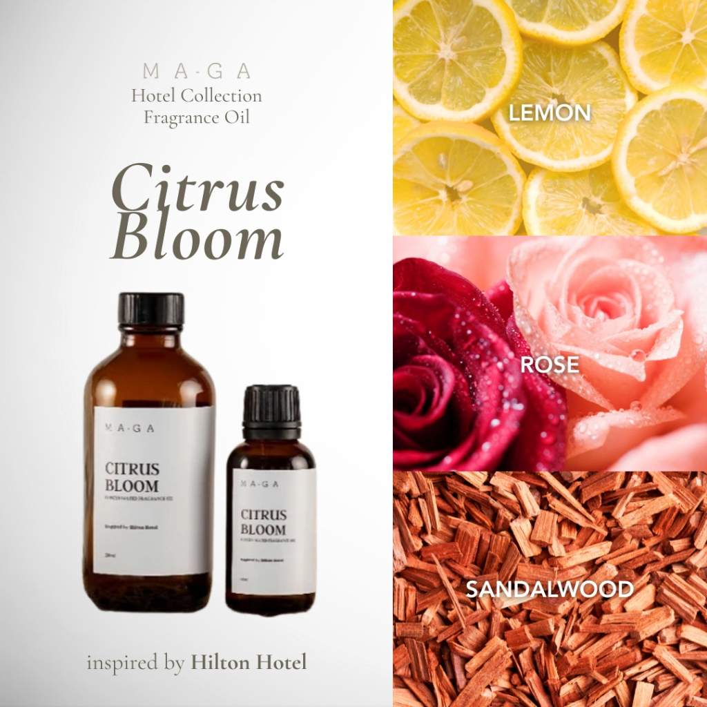 Jual MAGA Citrus Bloom Fragrance Oil - Hotel collection inspired Hilton ...