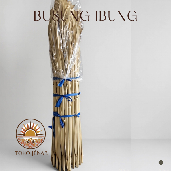 Jual Toko Jenar - Busung Ibung Sulawesi Warna Putih dan Merah Harga per ...