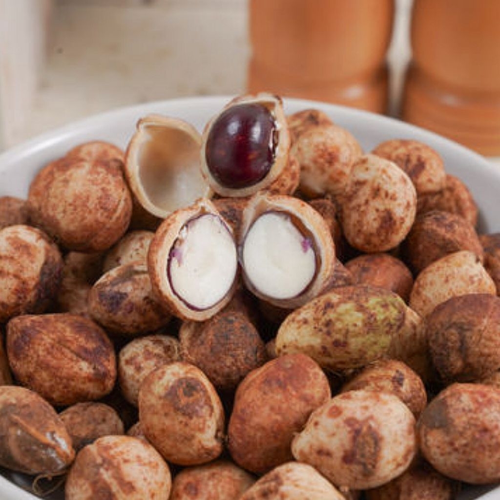 Jual Kacang Bogor Terlengkap & Harga Terbaru Mei 2026 | Shopee Indonesia
