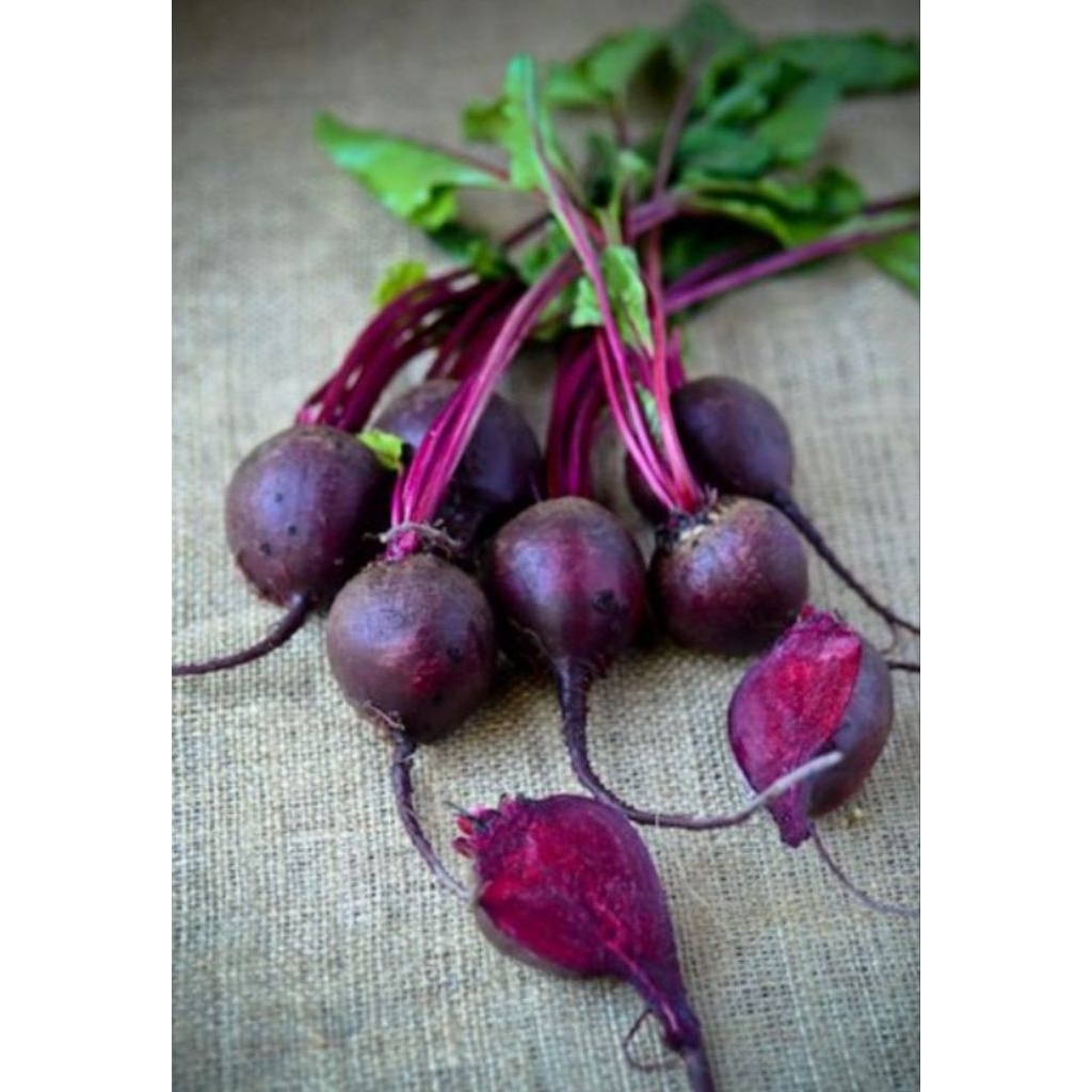 Jual harga terbaik buah bit segar 1 kg | Shopee Indonesia