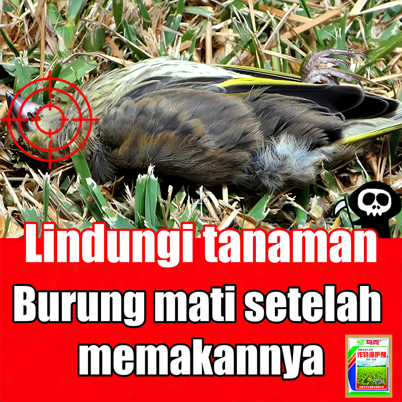 Jual perangkap burung jebakan burung trap pengusir burung di sawah ...