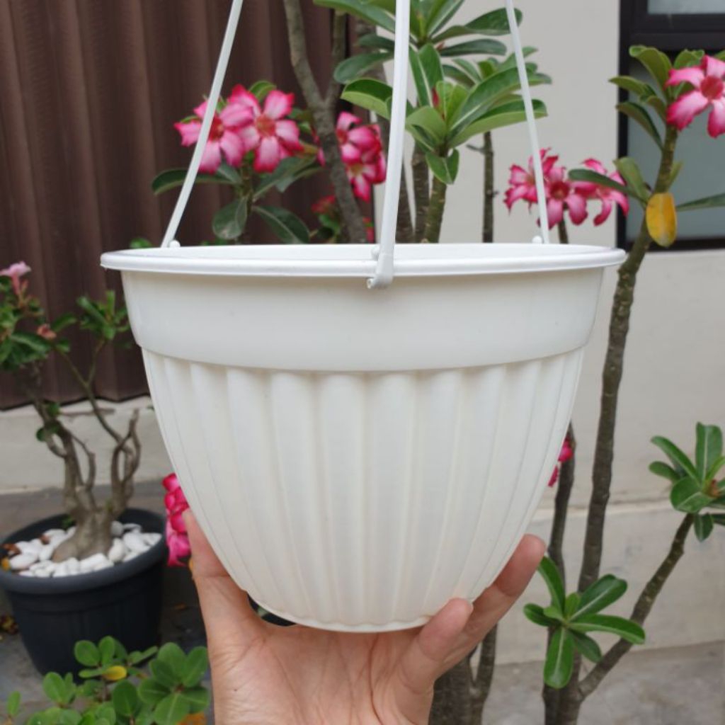 Jual Pot Gantung Tanaman Model Gentong/ Pot Tanaman | Shopee Indonesia
