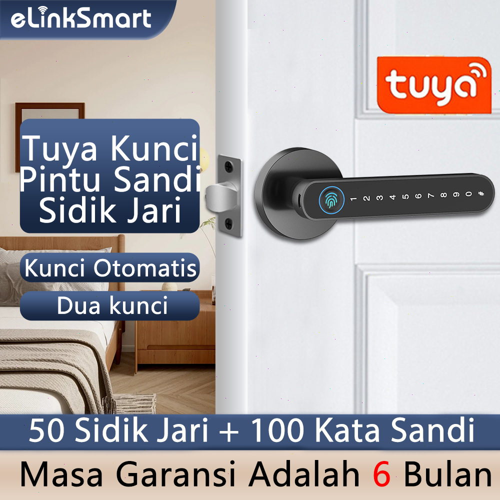 Jual Kunci Pintu Pintar TUYA Dengan Kata Sandi Buka Kunci Dengan Sidik ...