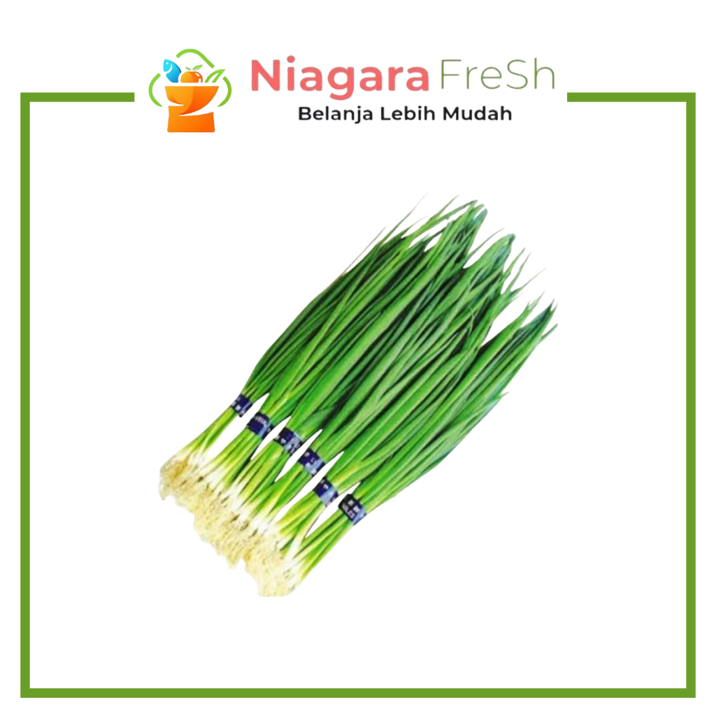 Jual Daun Bawang Segar - Pelengkap Masakan Yang Wajib Ada | Shopee ...