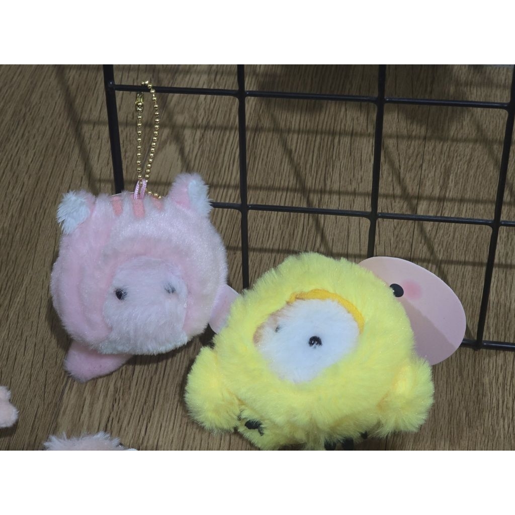 Jual Official Marimong x Spao Cat Chick | Shopee Indonesia
