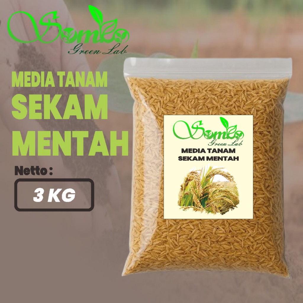 Jual Sombo GreenLab - 3 KG Media Tanam Sekam Mentah, Cocok Untuk Semua ...