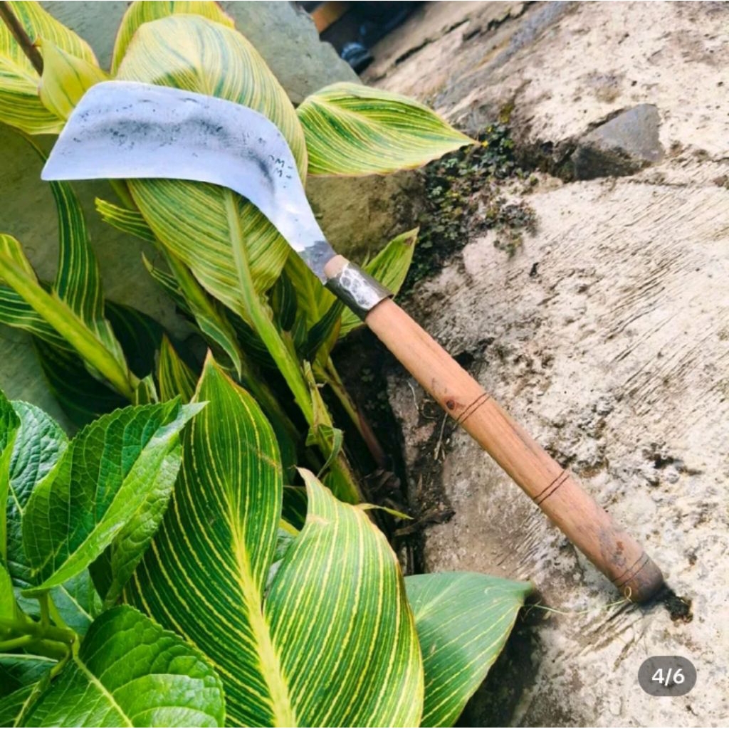 Jual Alat Pertanian & Kebun Terbaik – Parang Tajam Siap Kerja Berat ...