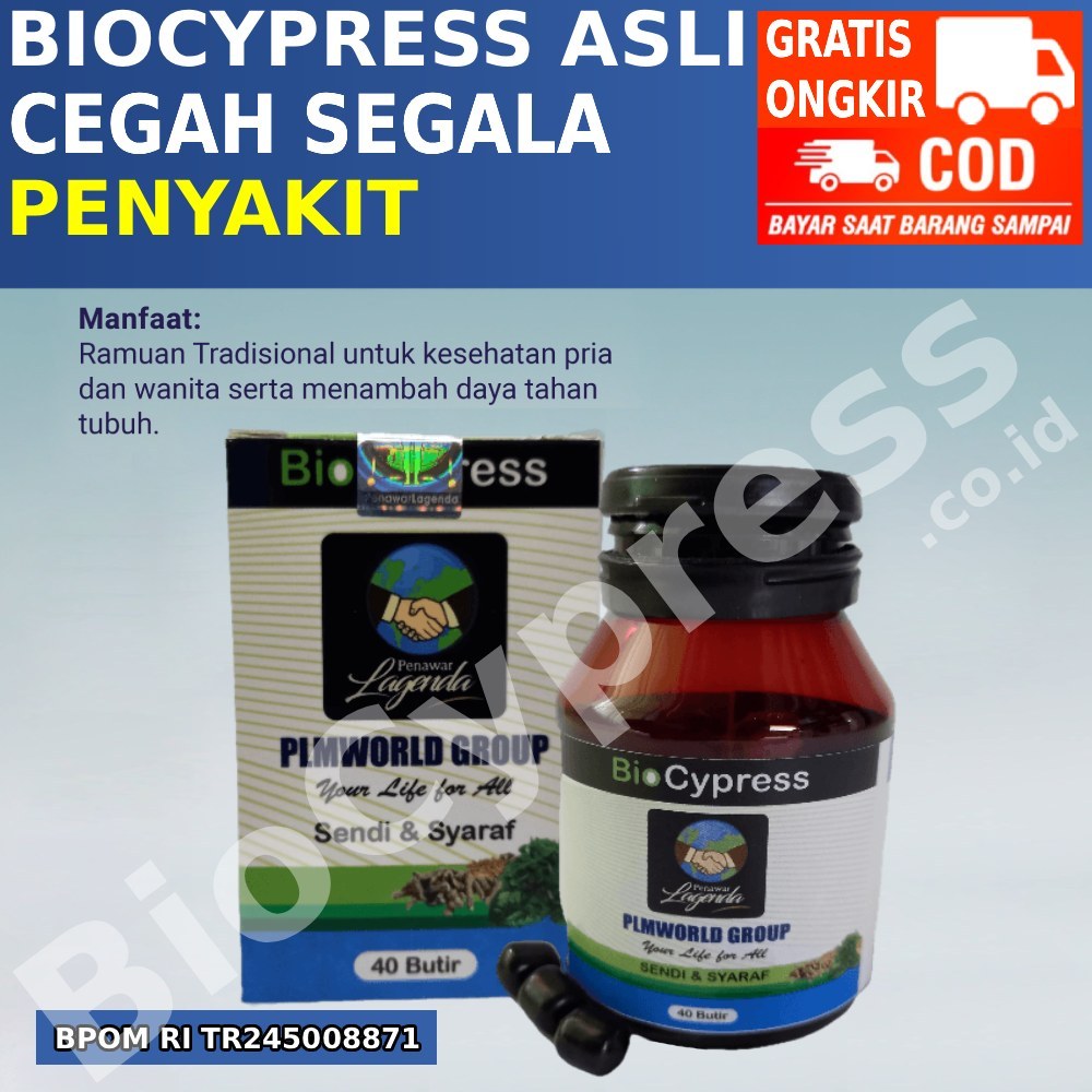 Jual BioCypress Original isi 40 Butir, Solusi Obat Herbal Stroke, Asam ...