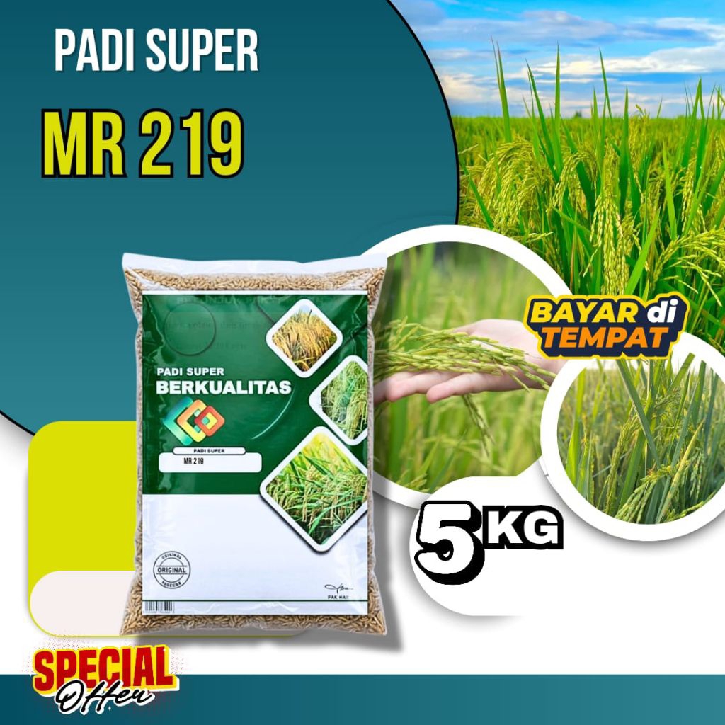 Jual Benih Padi Super Berkualitas MR 219 Original Kemasan 5kg | Shopee ...