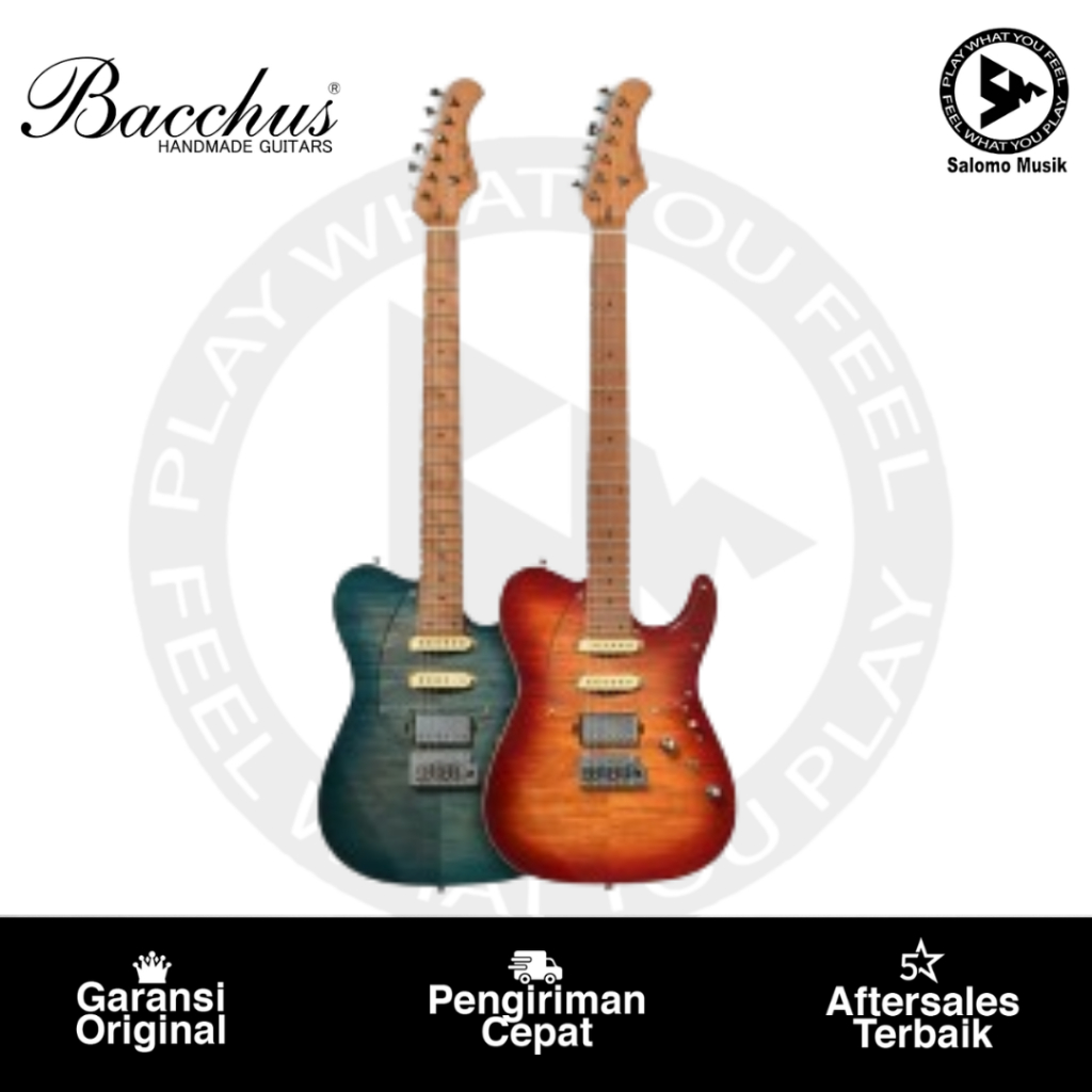 Jual Gitar Elektrik Bacchus Tele Style TAC24 Andre Dinuth Signature ...