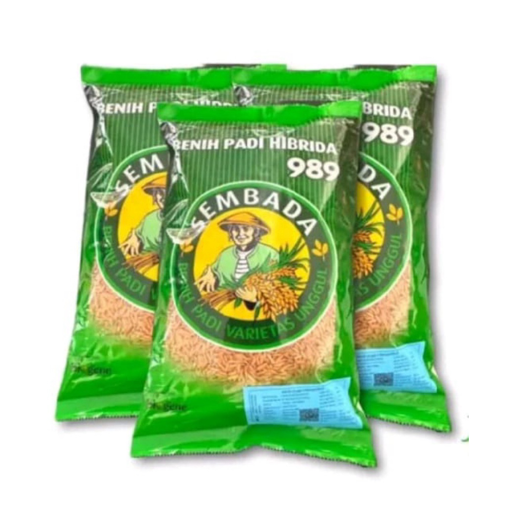 Jual (1KG) BENIH PADI HIBRIDA SEMBADA 989 KEMASAN 1KG 100% ORIGINAL ...