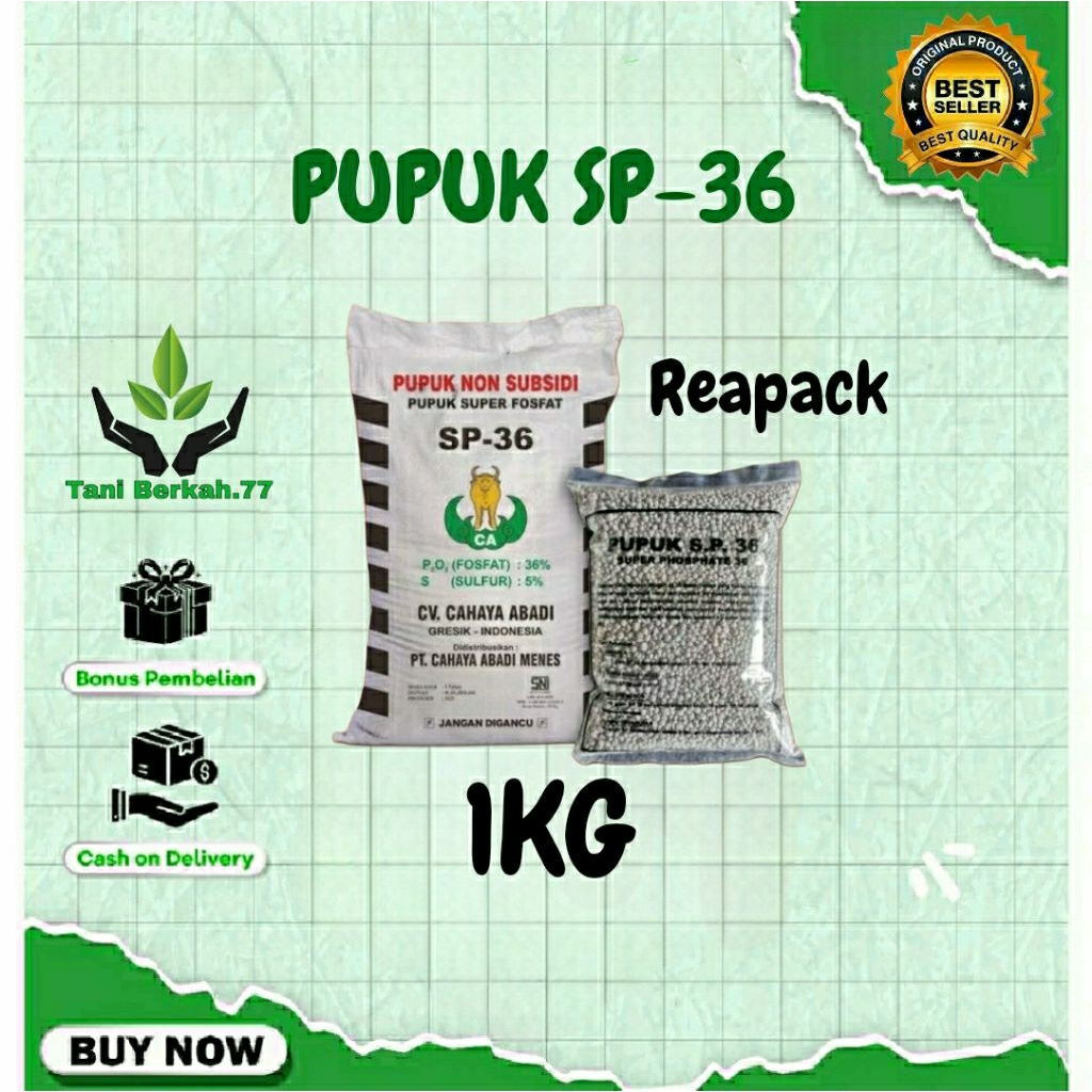 Jual Pupuk Sp 36 Terlengkap & Harga Terbaru Mei 2026 | Shopee Indonesia