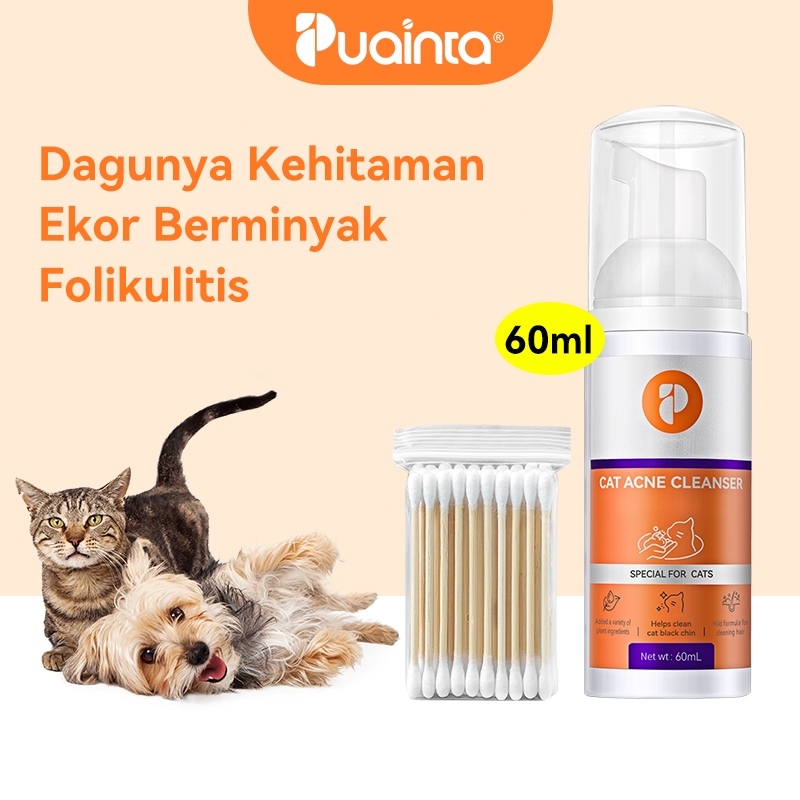 Jual PUAINTA Obat Kulit Kucing Mengatasi Jerawat Folikulitis Kulit ...