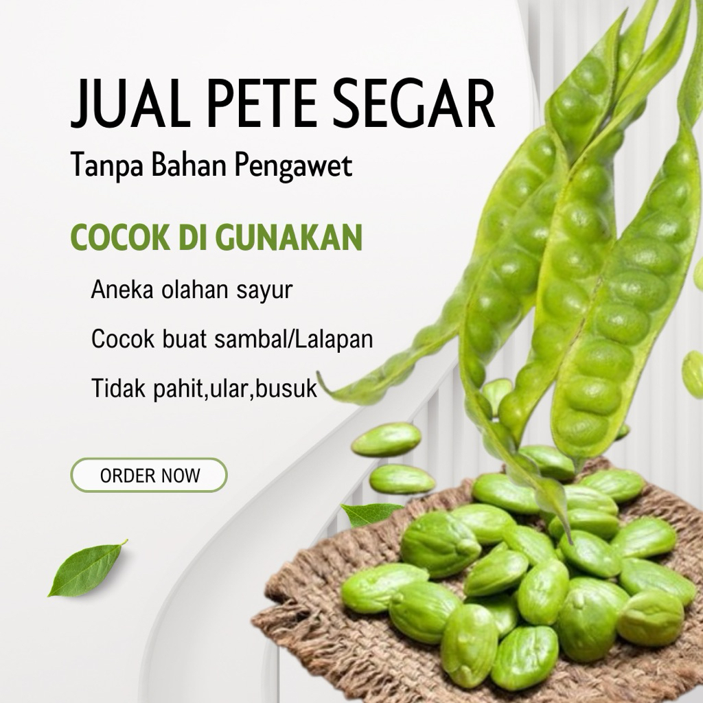 Jual PETAI/PETE PADI ISI 1 LONJOR PAPAN TUA SUPER Segar Tanpa Bahan ...