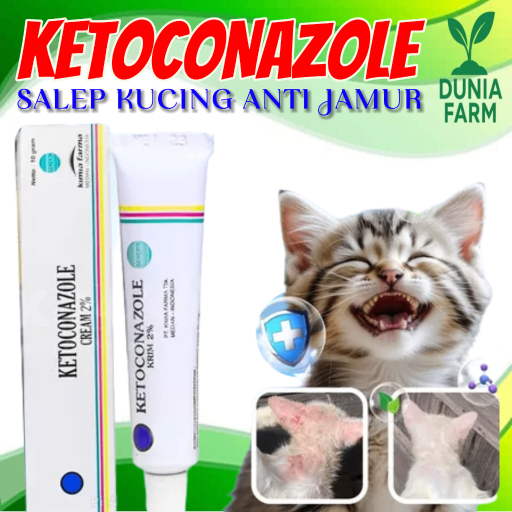 Jual Salep Kitten Solusi Mengobati Jamur Luka Scabies Pada Kucing ...